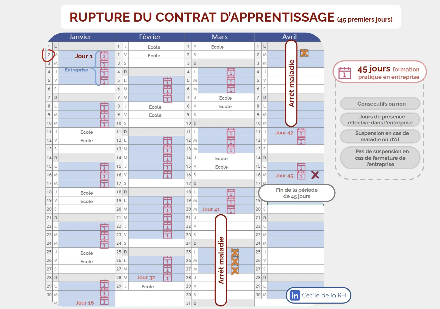 Le fonctionnement de la "période d'essai" de 45 jours des contrats d'apprentissage | Académie RH